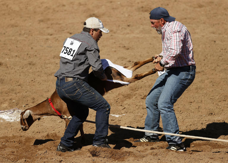 World Gay Rodeo Finals returning to Reno for 50th anniversary ...