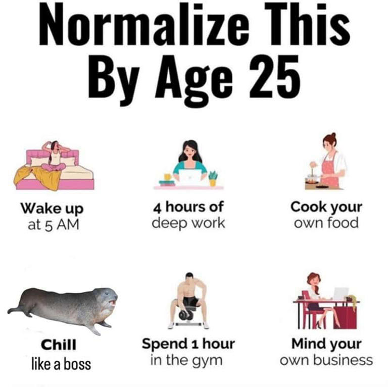 43 Funny Memes About The Hyrax—The Freakiest And Most Adorable Fanged ...