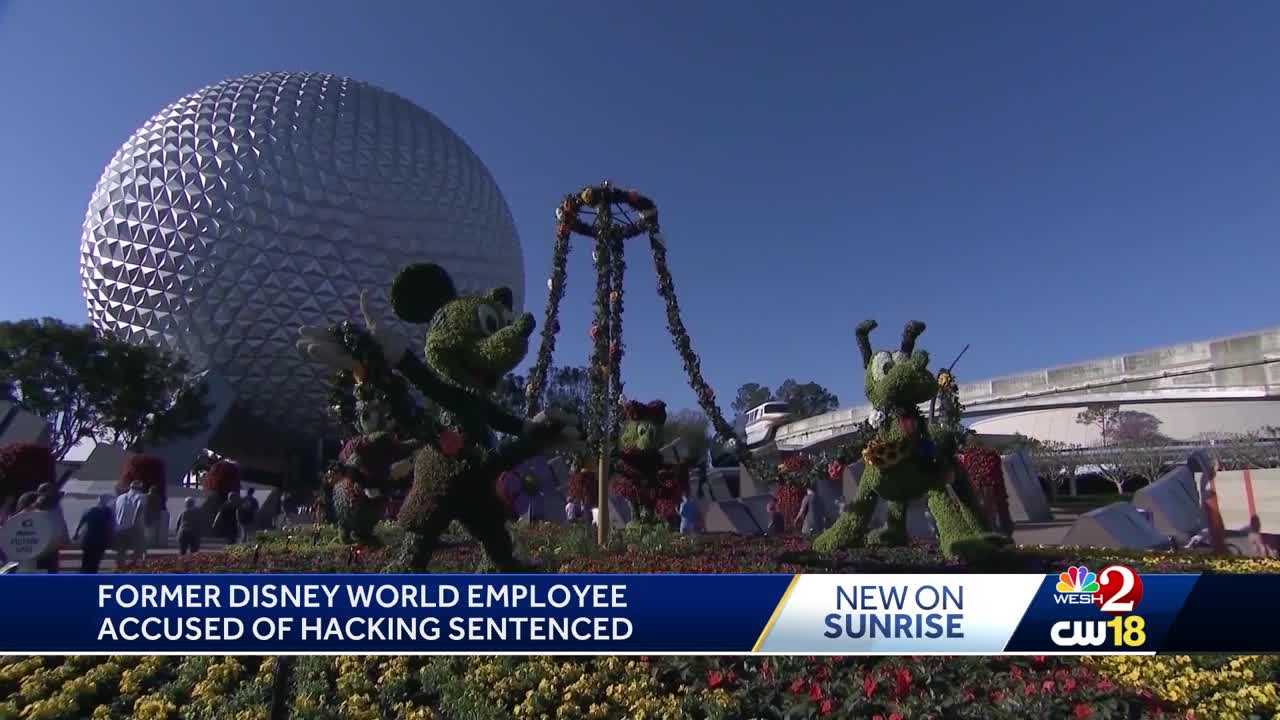 Fired Disney employee sentenced for hacking menus, altering allergens