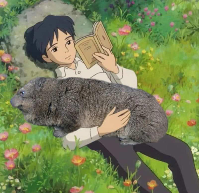 43 Funny Memes About The Hyrax—The Freakiest And Most Adorable Fanged ...