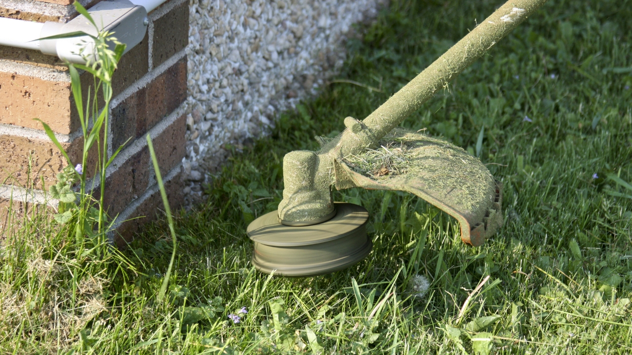 7 Gas-Powered Tools That Are Still Worth Owning