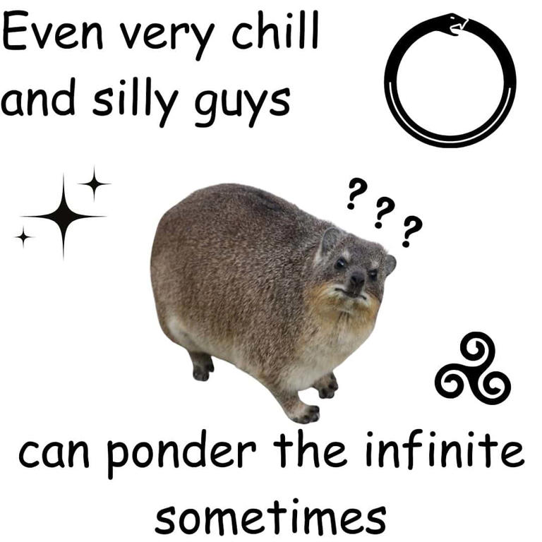 43 Funny Memes About The Hyrax—The Freakiest And Most Adorable Fanged ...