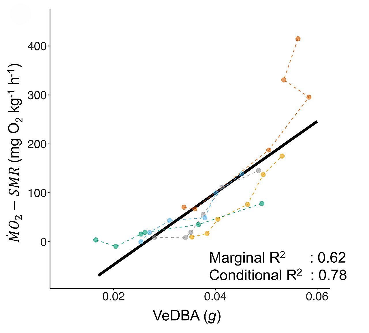 Animal energy usage made visible through video