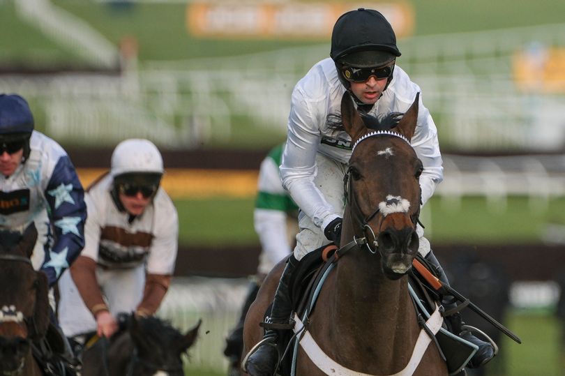 Punchestown day 4 full race card and tips - list of runners on Friday