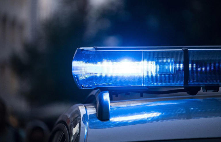 États-Unis : Une conductrice verbalisée pour téléphone au volant alors ...