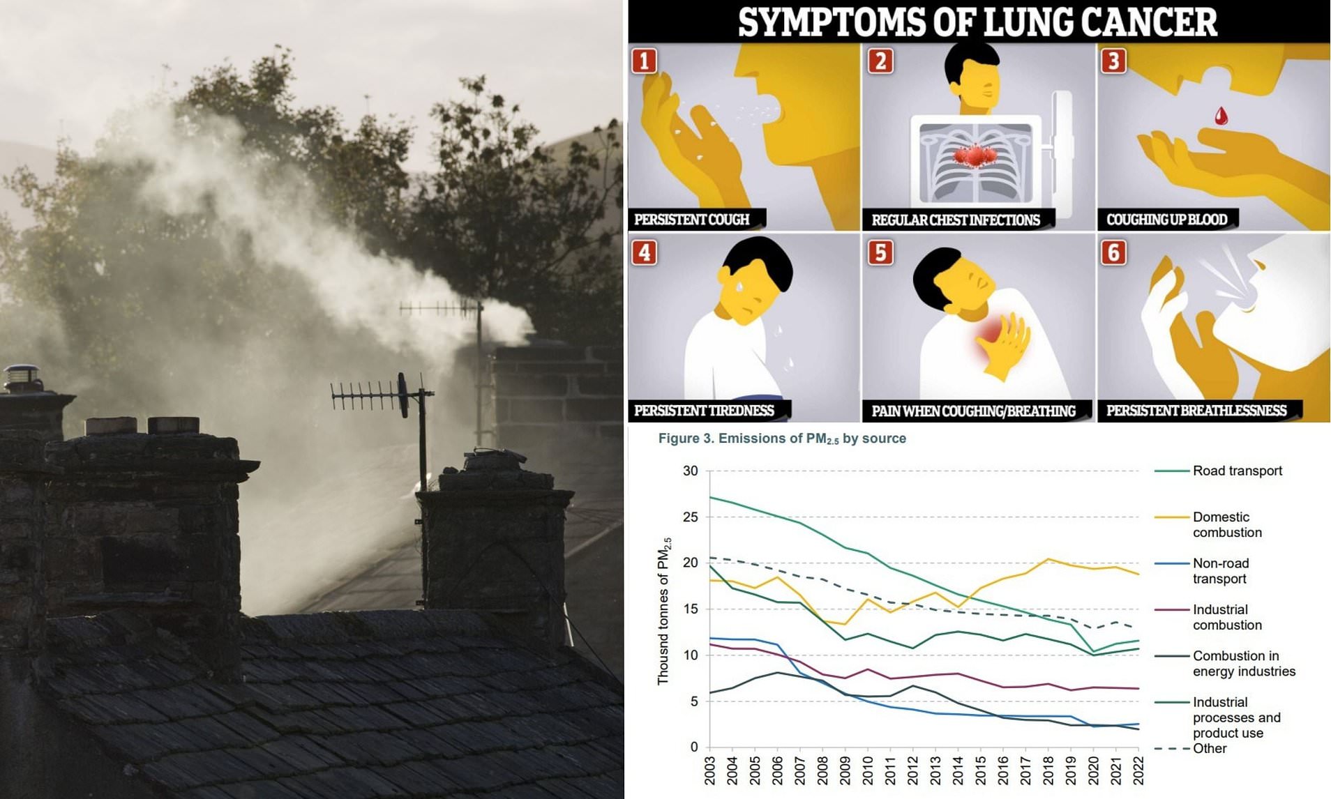 Doctors' alarm as safety chiefs green light 'cancer-causing' trendy ...