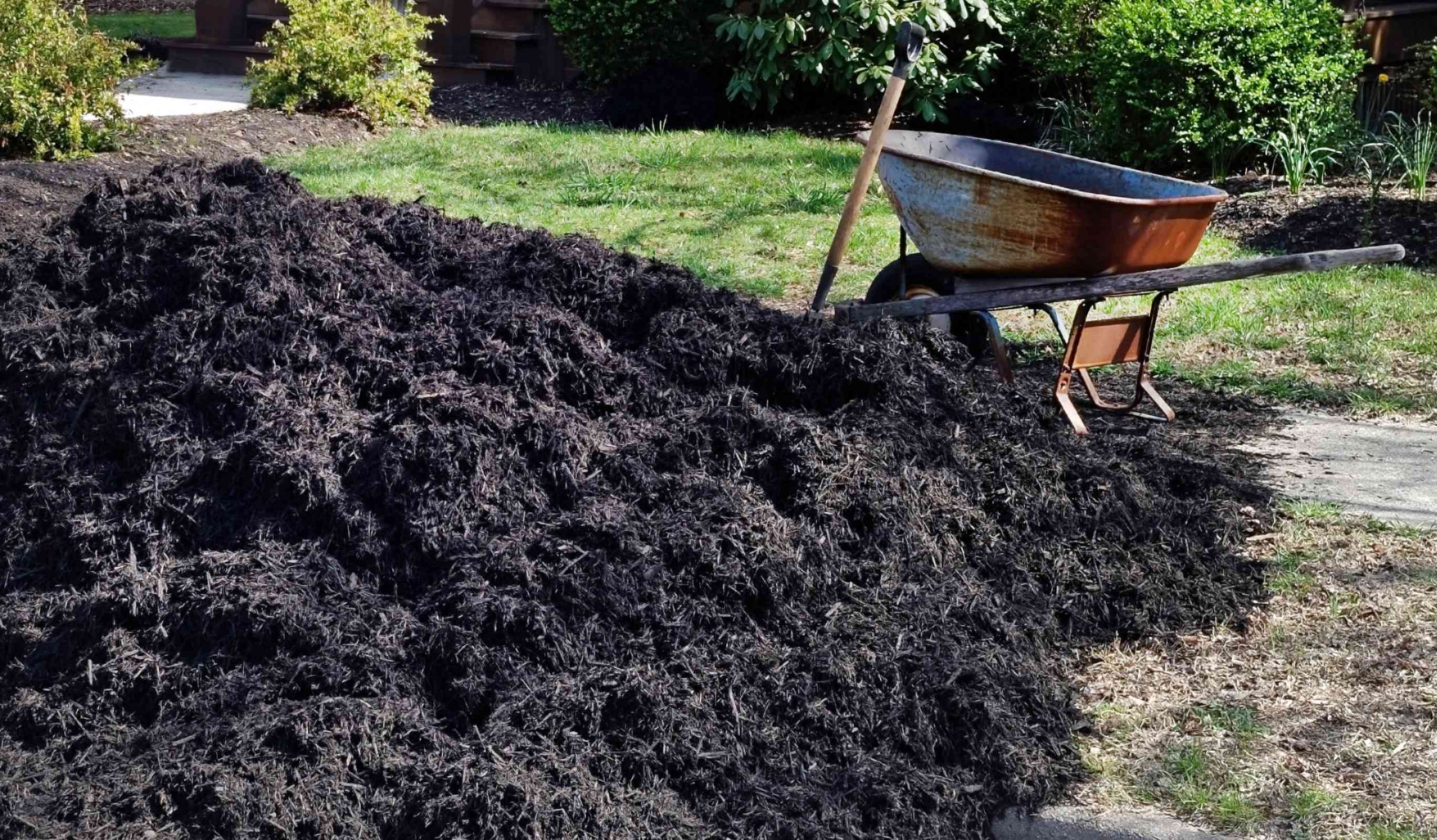 9 Popular Types of Mulch You Should Know and How to Choose the Right ...