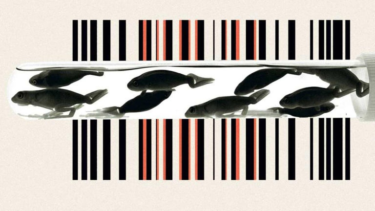 Who are the 10 best first overall picks in the common draft era?