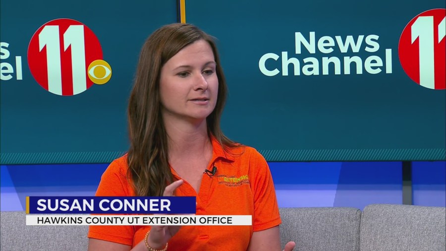 UT Extension agent shares healthy tips for spring
