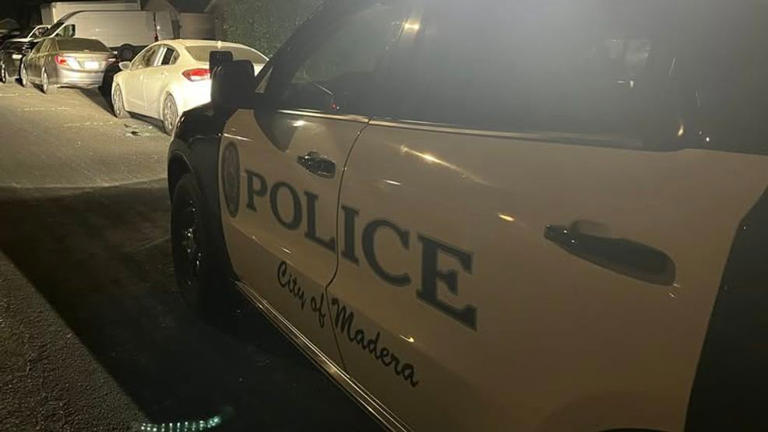 Juvenile car burglars caught red-handed in Madera, charges include gang ...