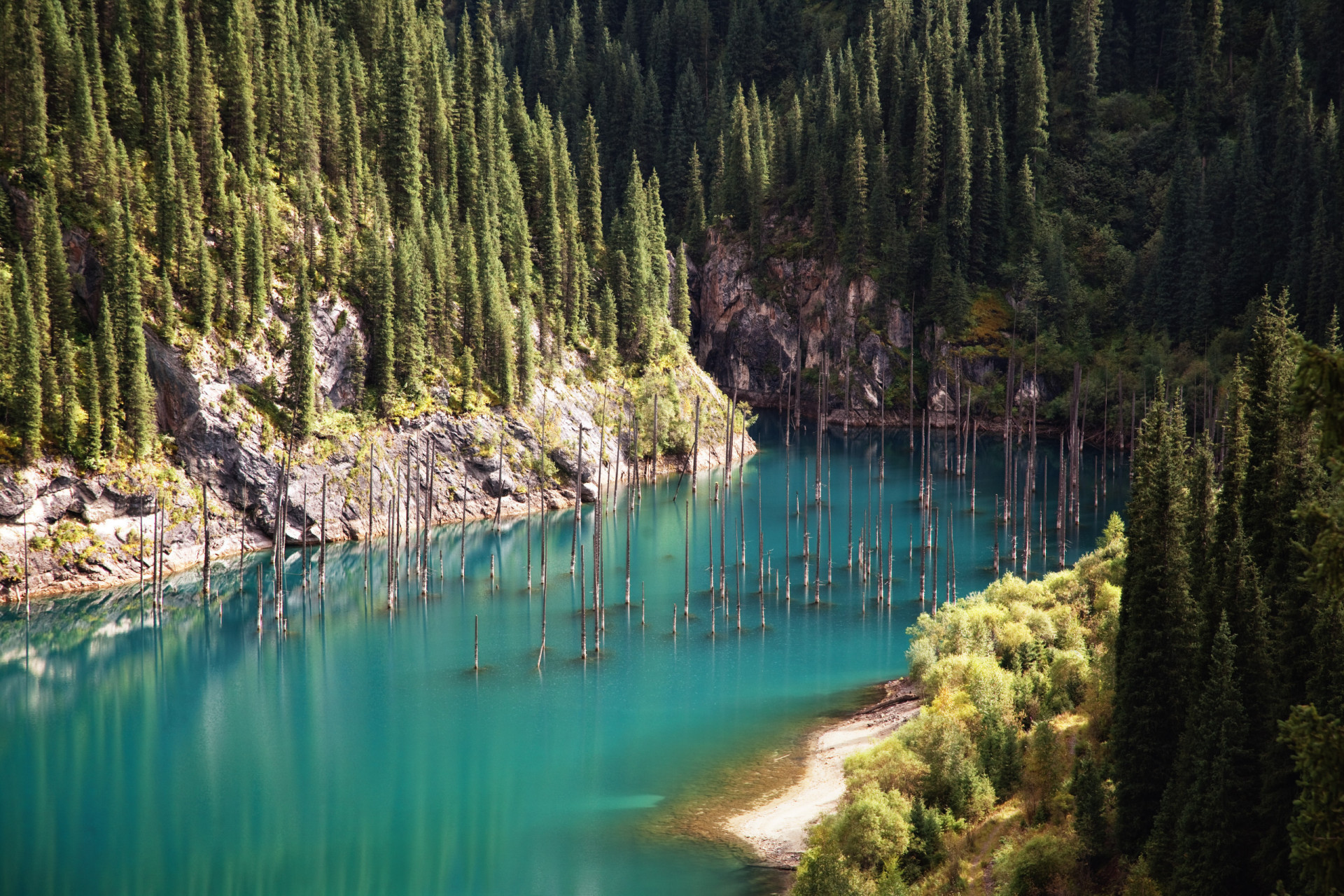 The amazing sunken forest that was created after an earthquake