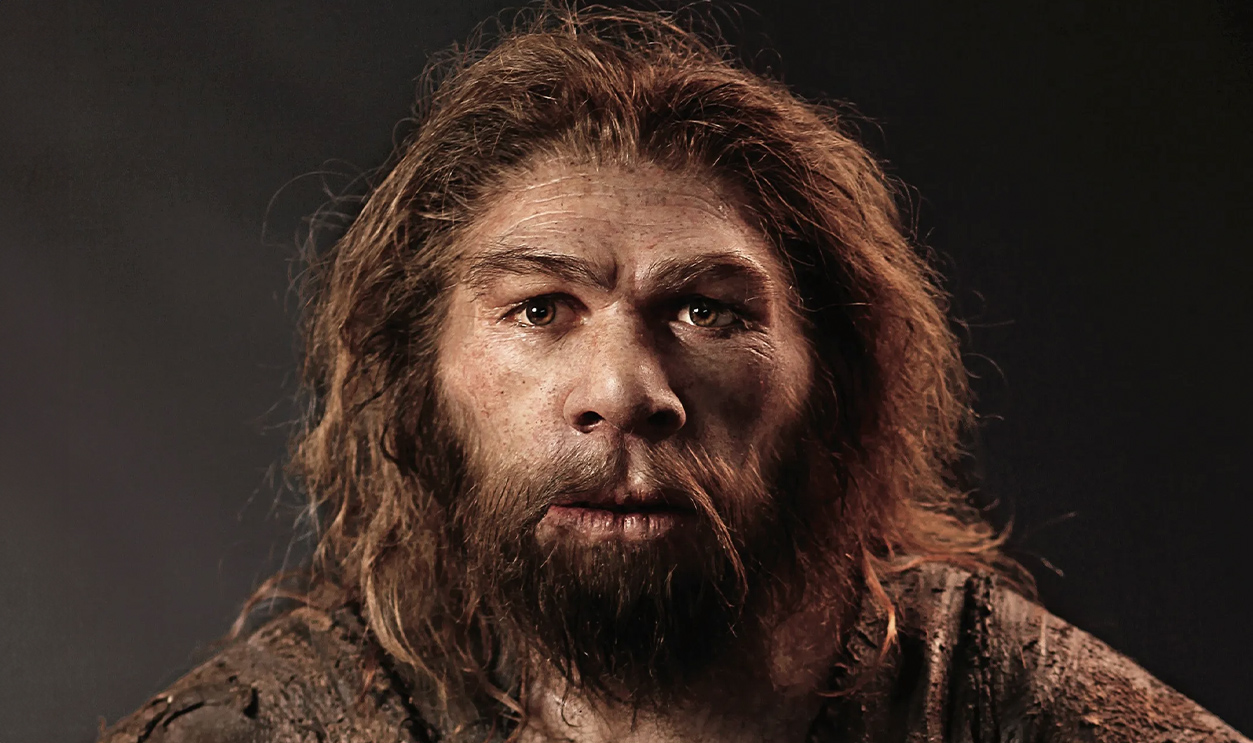 The Cave Markings That Changed What We Know About The Neanderthals