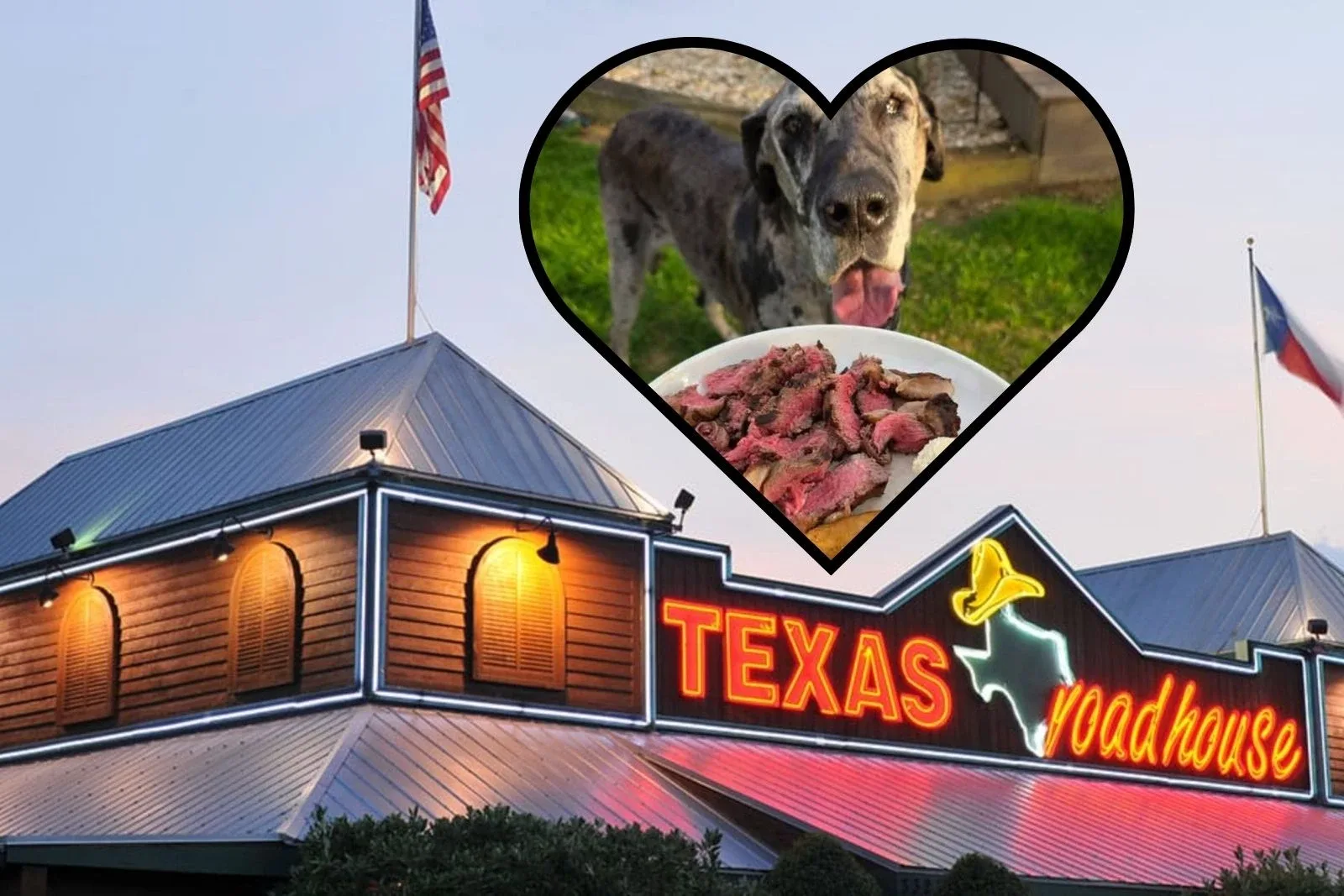 A Customer Asked Texas Roadhouse to Make Dog’s Last Meal — They Obliged ...