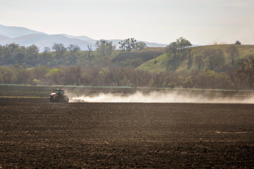 California valley fever cases hit record highs again in 2025, state reports