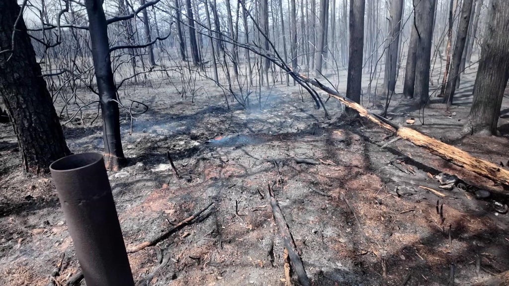 N.J. wildfire can be fully contained this weekend if weather cooperates ...