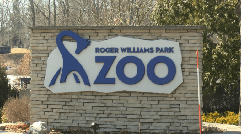 Humboldt penguins arrive at Roger Williams Park Zoo Humboldt penguins arrive at Roger Williams Park Zoo