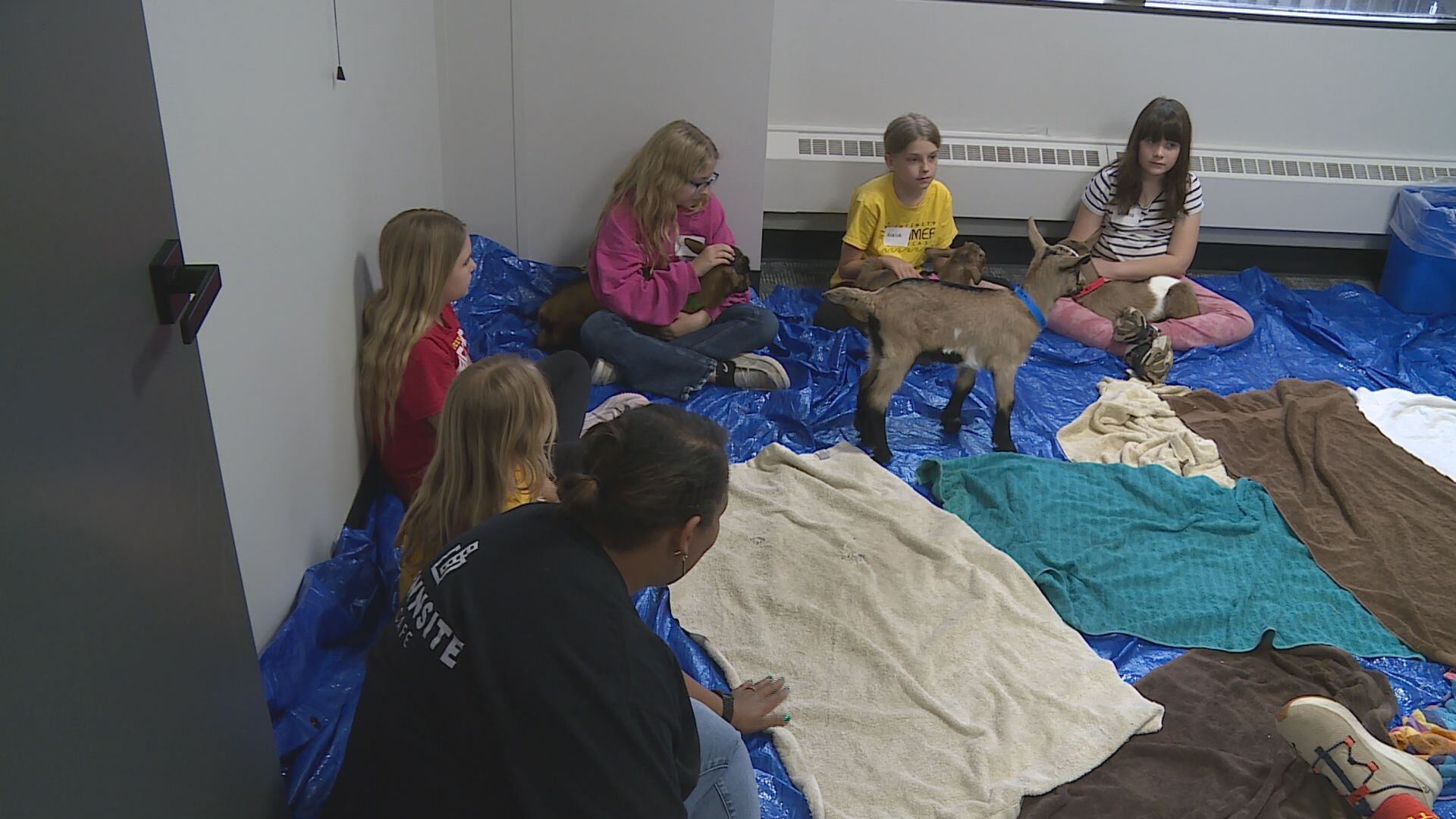 Goats and games: Children enjoy a special Take Your Kid to Work Day at ...