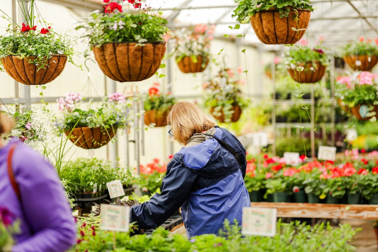 Local nonprofit sells plants to help children in foster care system