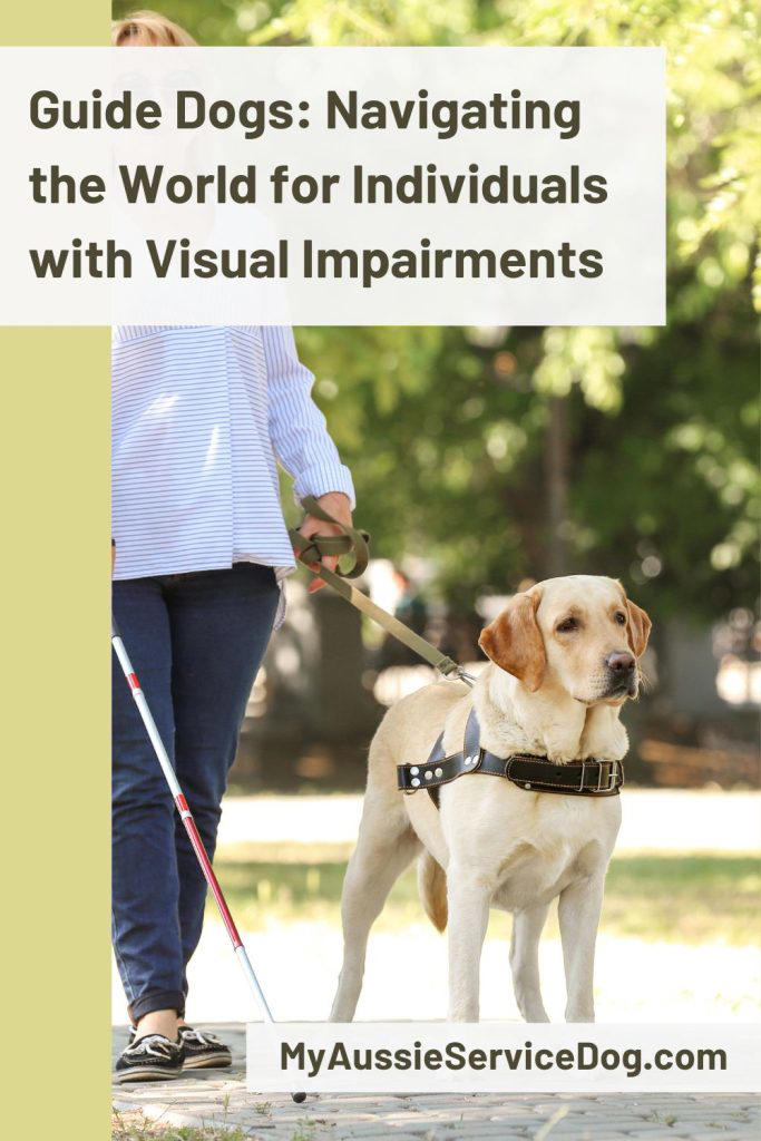 Training an Australian Shepherd as a Migraine Service Dog: Tips and ...