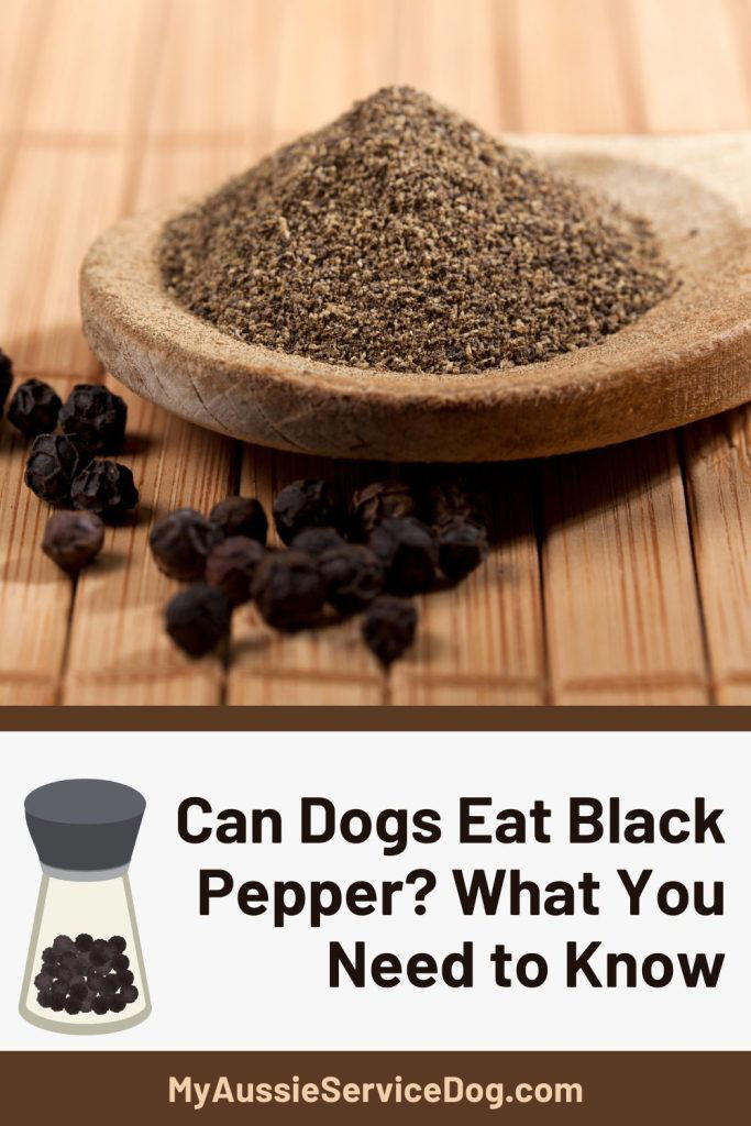 Can Dogs Eat Black Pepper? What You Need to Know