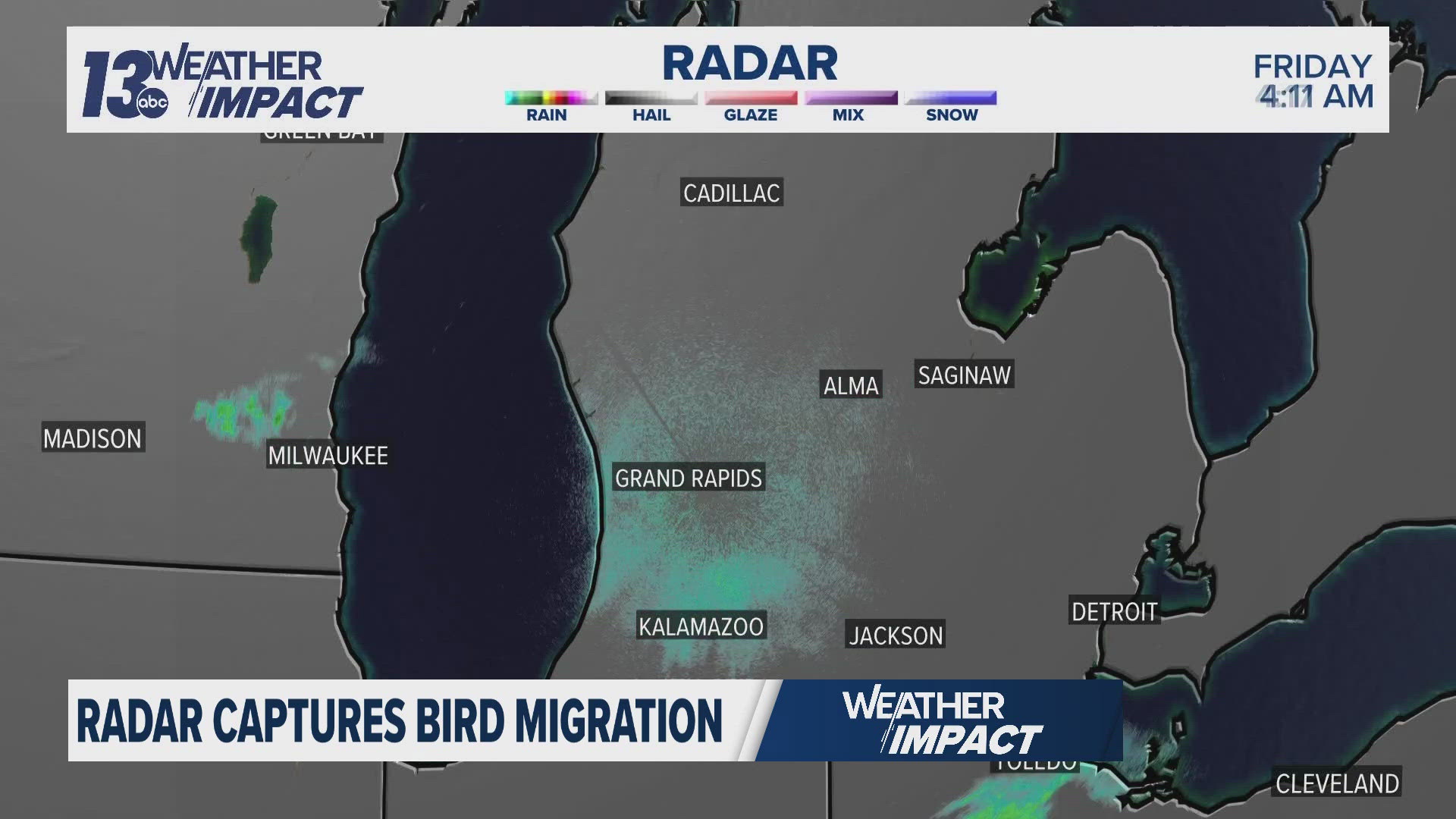 Weather radar captures bird migration