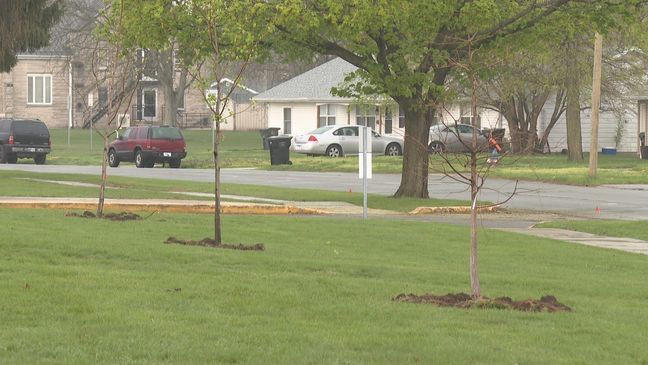 Tree-mendous effort: Volunteers plant 50 trees at South Bend school