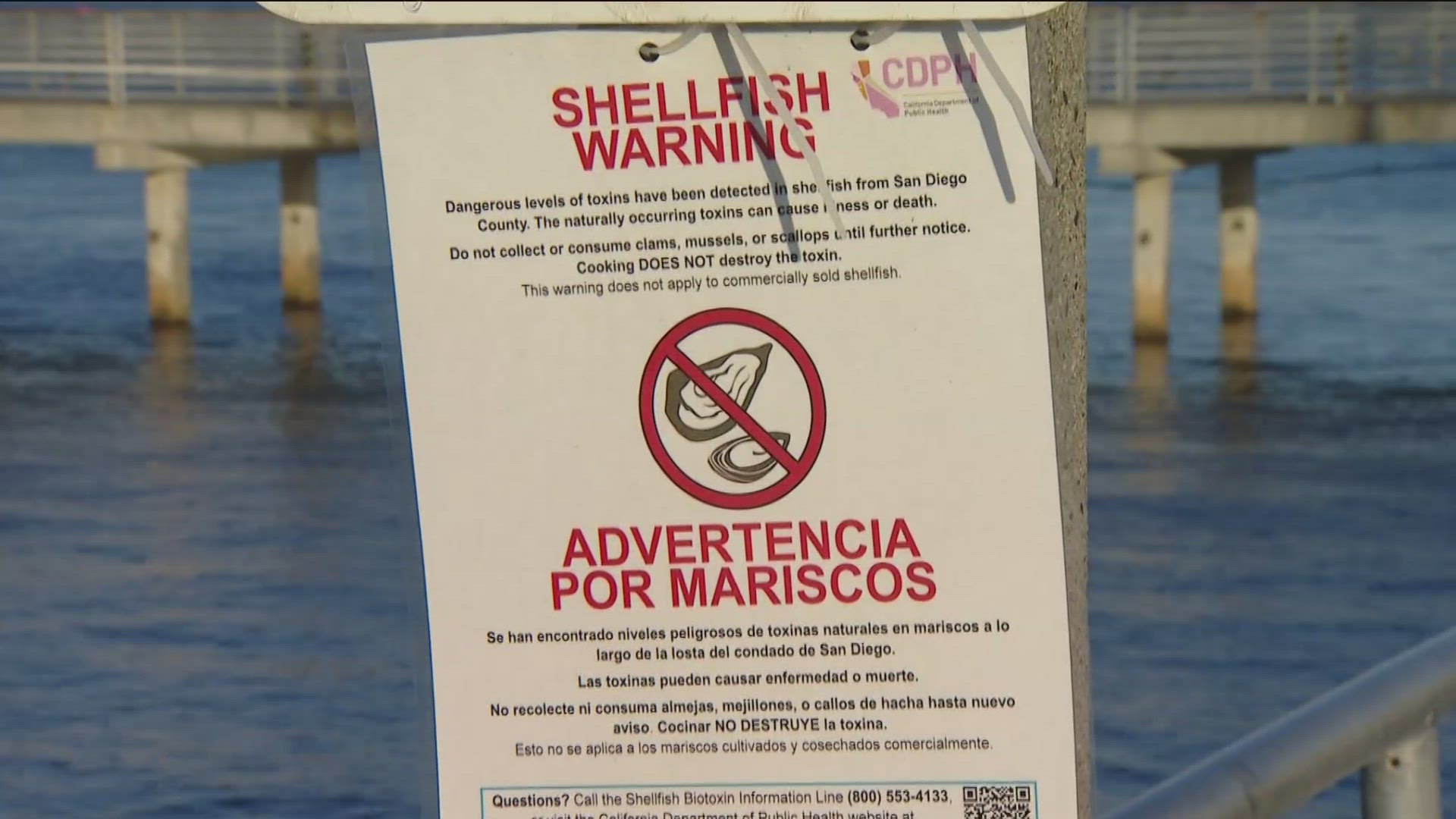 Health officials warn against eating recreationally caught shellfish in ...