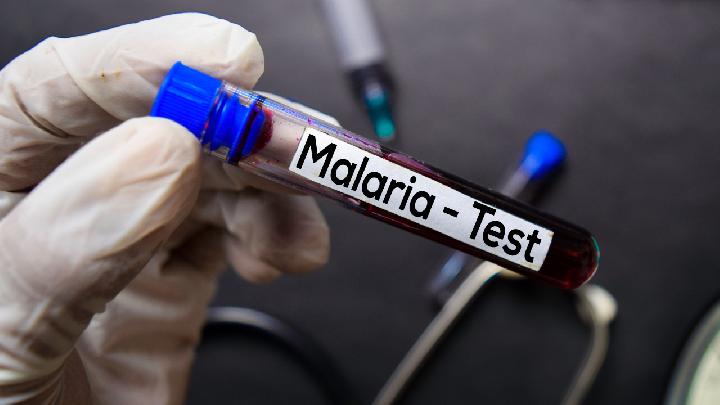 Hari Malaria Sedunia: Kenali Gejala-gejala Malaria Sejak Dini