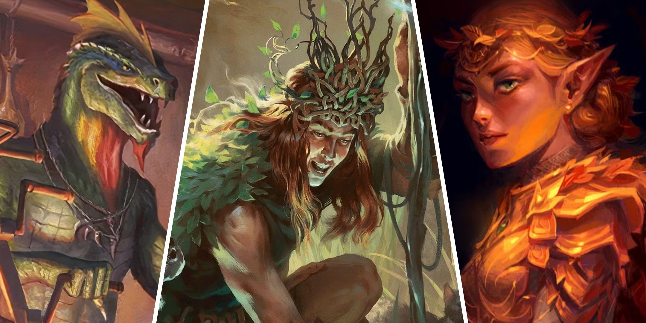 The Best Fantasy Races For Playing A Druid In DnD