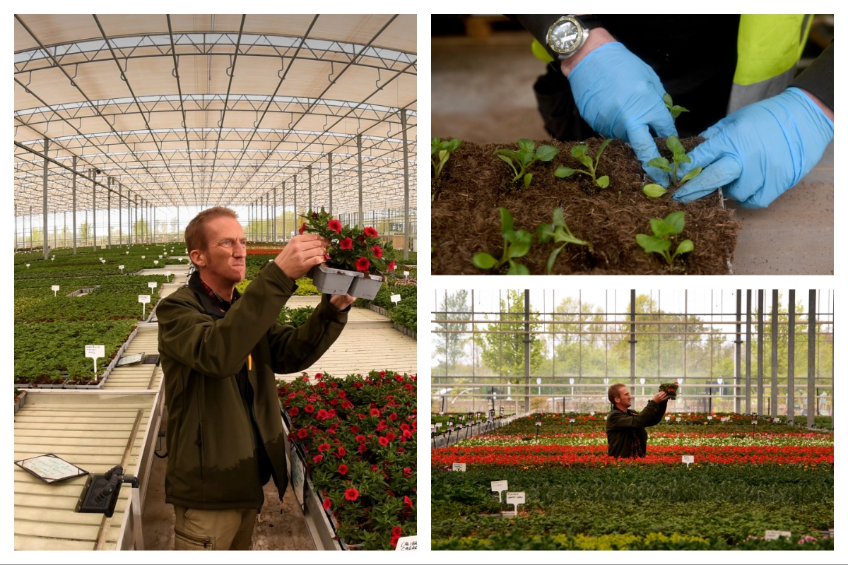 The Arium: Leeds Council garden centre and plant nursery using 'potting ...