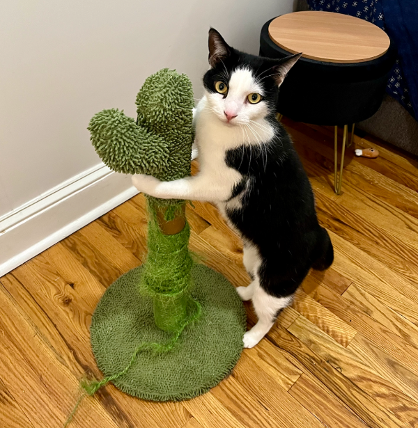 The ‘Spy High’ Digital Dystopia: Amazon Doc Probes Student Surveillance ...