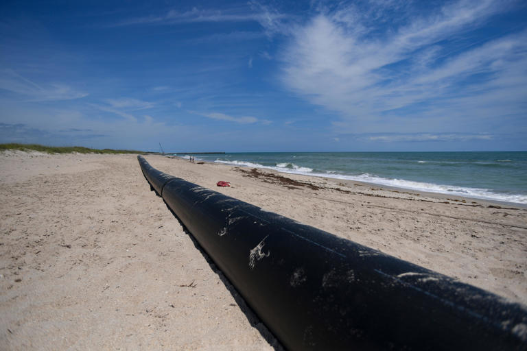 $11 million Sebastian Inlet State Park project to wrap up as sea turtle ...