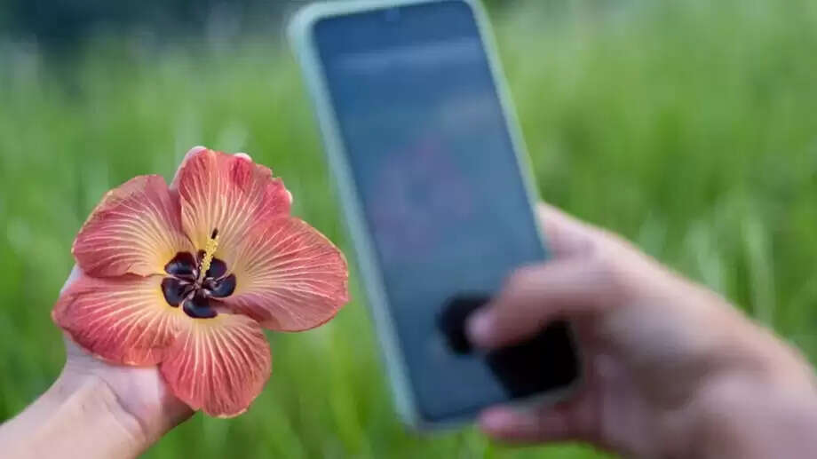 Macro Vs Micro What Is The Difference Between Macro And Micro In Phone