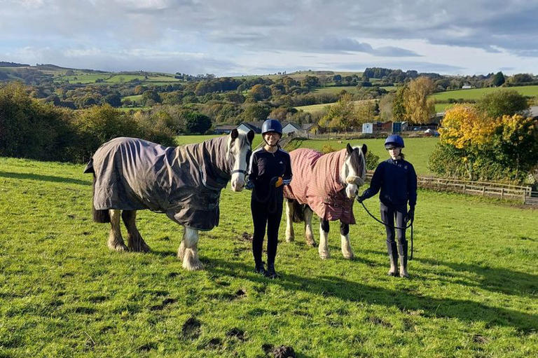 North Wales riding centre says will close in days unless emergency ...