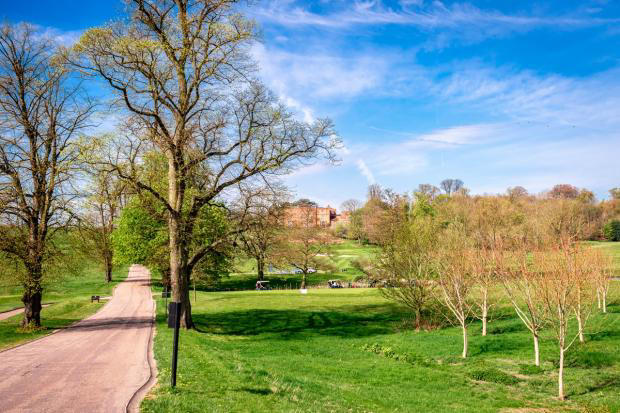 The best child-friendly walks in Watford and nearby for the whole family