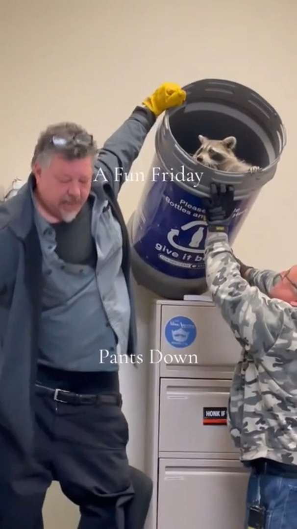 Man's Pants Fall Down While Trying to Catch Raccoon