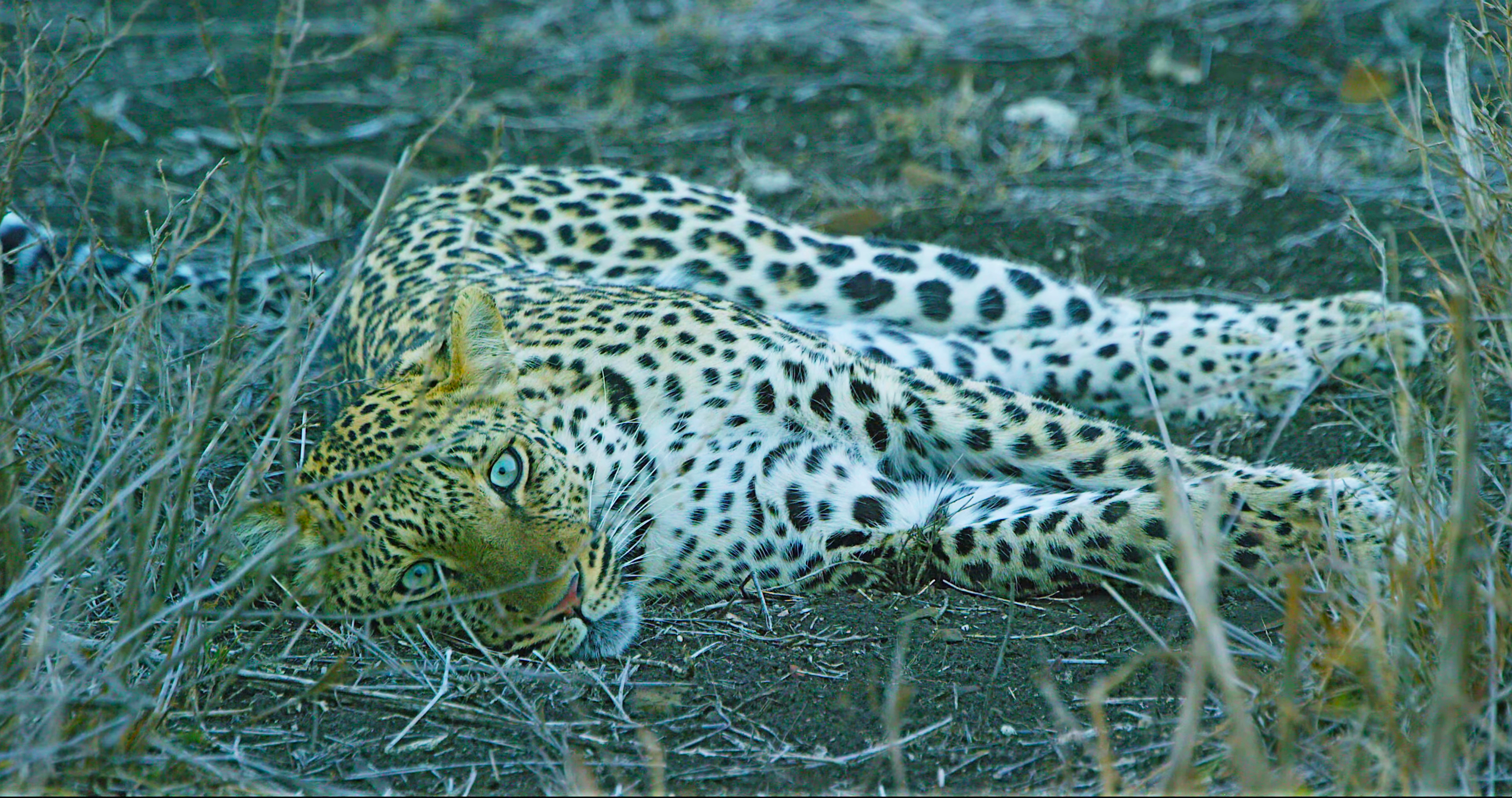 6 Reasons Why Someone May Feel Sad For No Reason