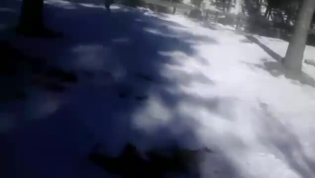 Random Guy Falls in Snow on Camera