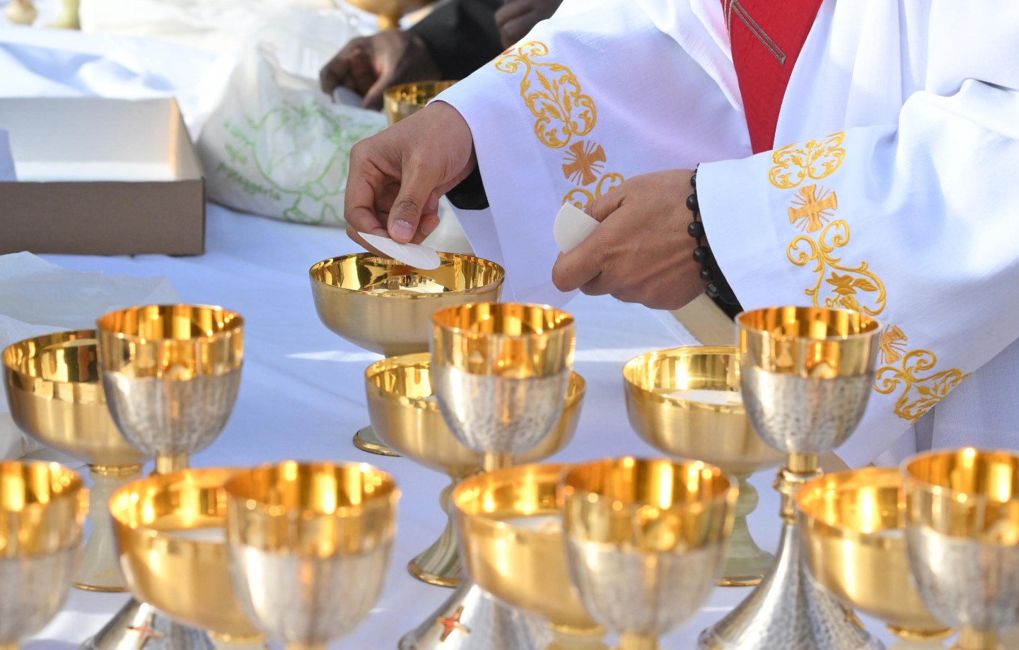 L'ultimo saluto a Papa Francesco: la messa esequiale, il corteo e la tumulazione. Il programma ...