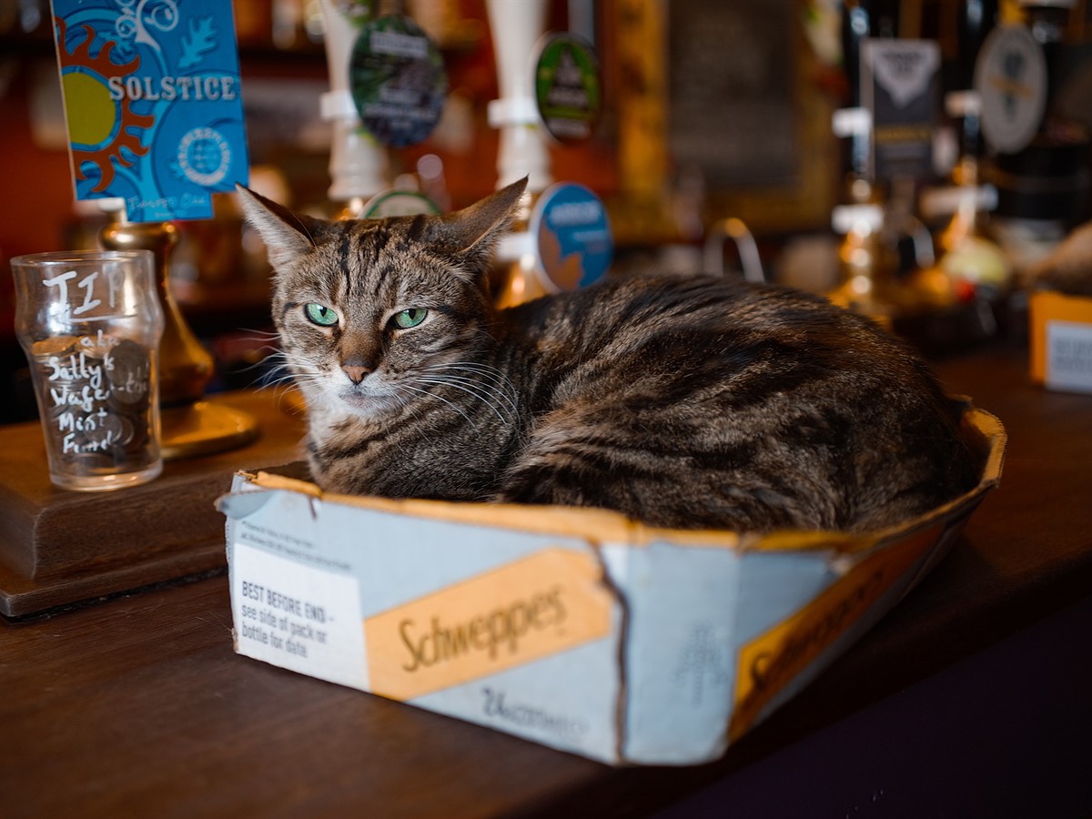 Sigma BF sample galleries: out-of-town and out-of-camera