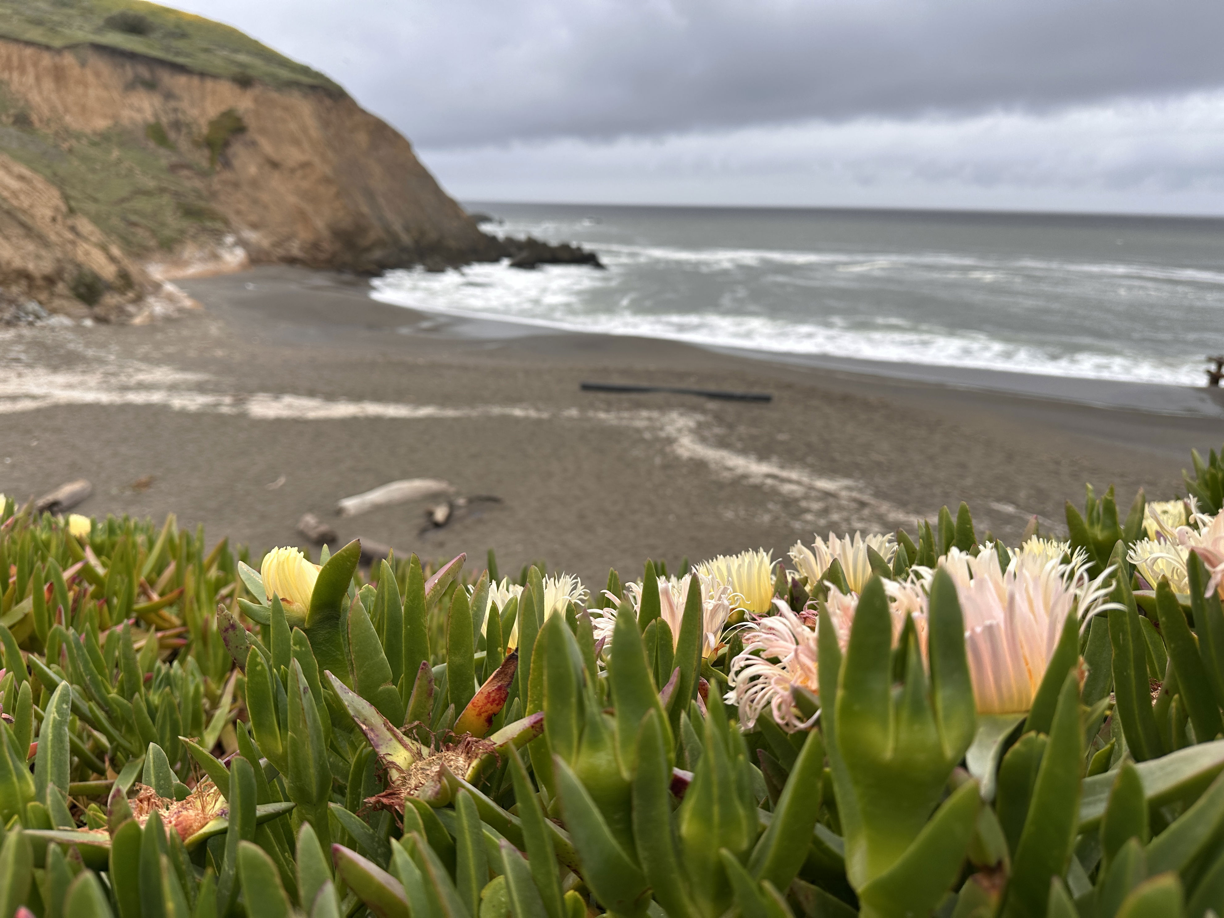 Pacifica Beach California | Your Ultimate Guide