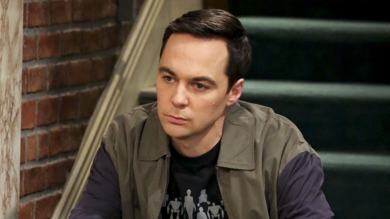 This Big Bang Theory Actor's Infamous Choice 'Felt Like A Death' To The ...