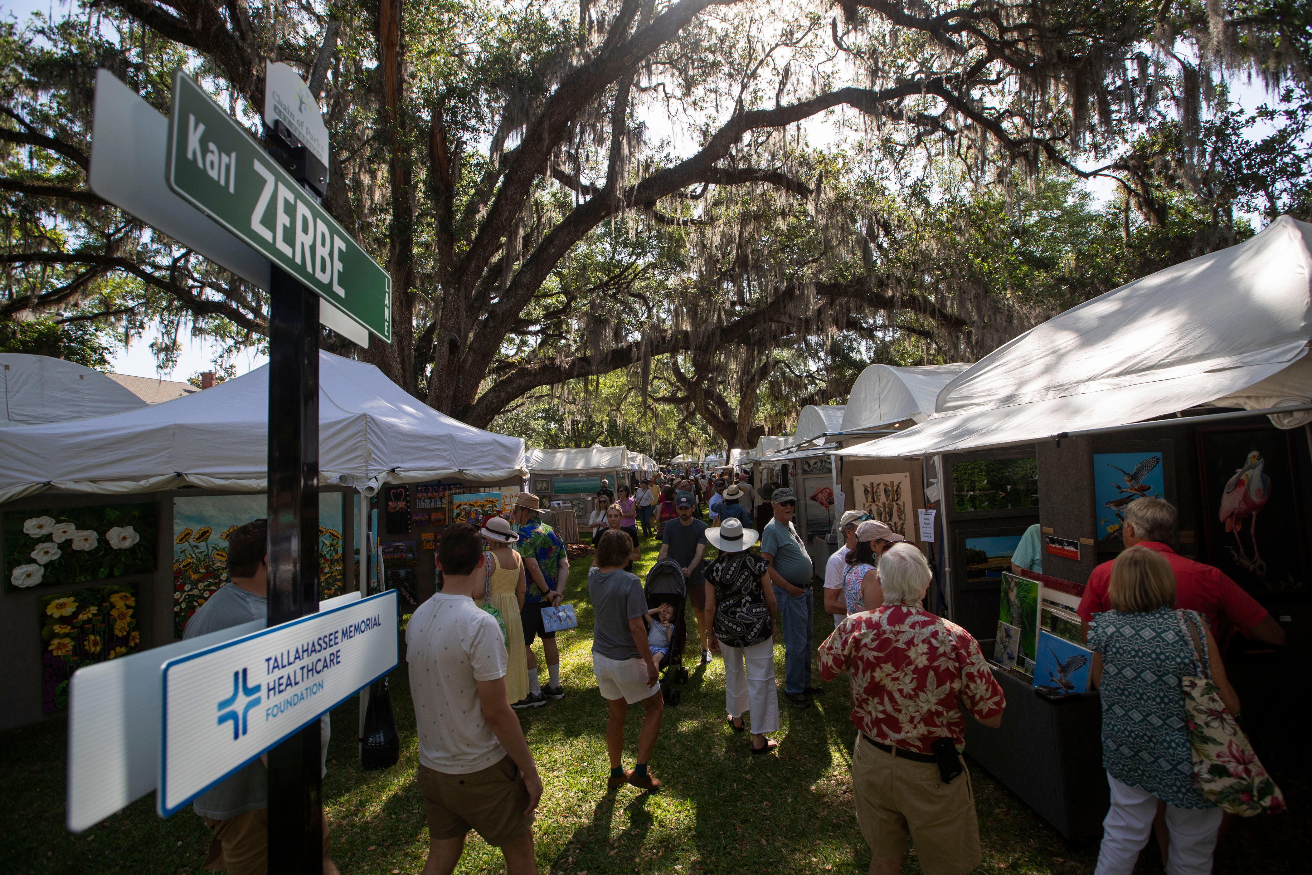 Growing shade: Tallahassee counts benefits of planting a tree canopy