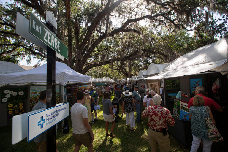 Growing shade: Tallahassee counts benefits of planting a tree canopy