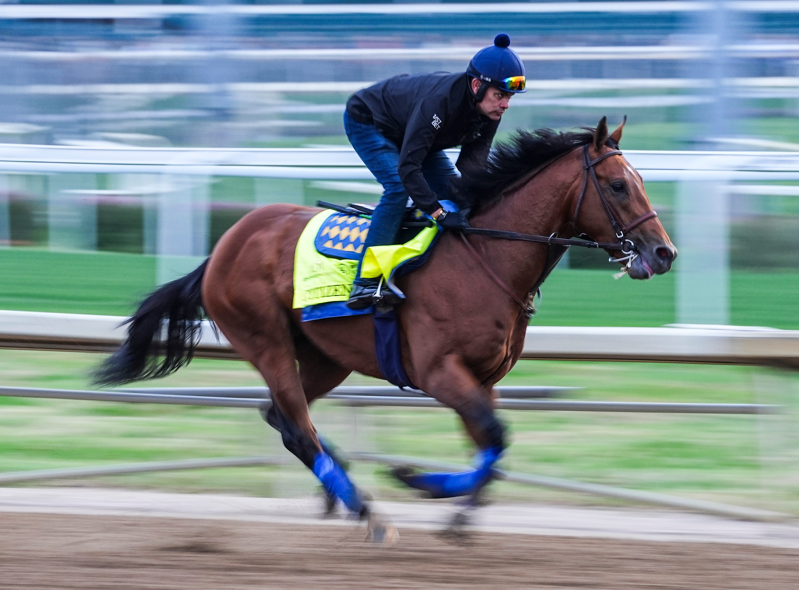 How many horses competed in Kentucky Derby 151? Here's the horse's ...