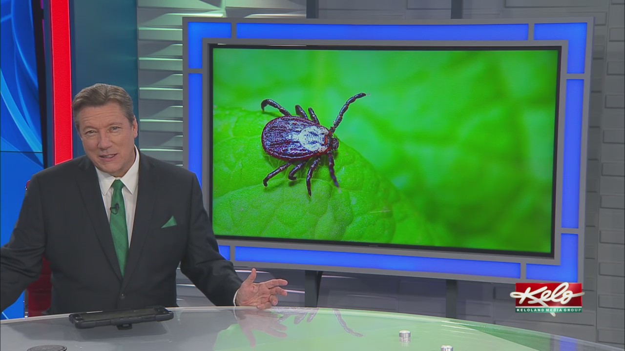 Tick activity increases with warm spring; prevent bites