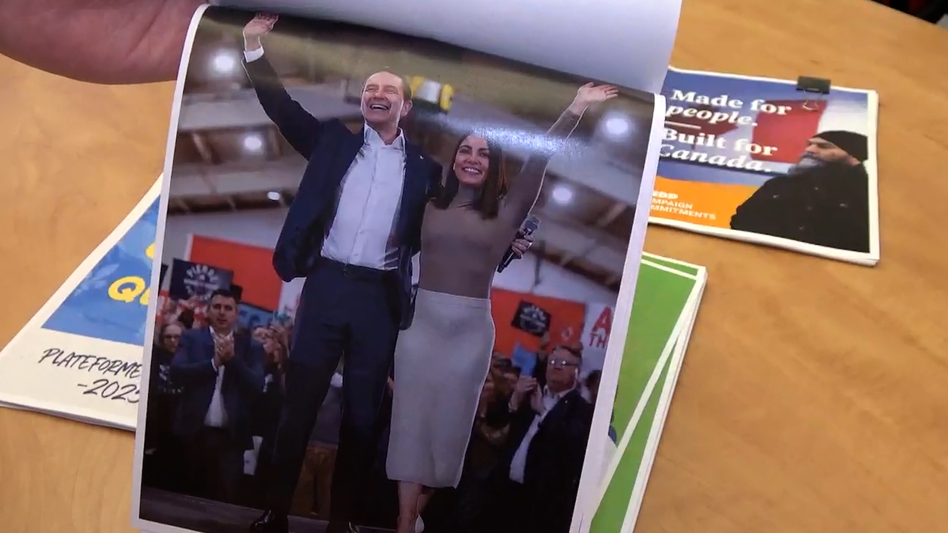 Some highlights from federal party platforms