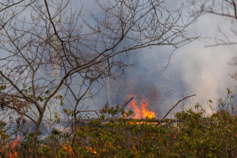 Michaux State Forest wildfires now encompass over 2,700 acres ...