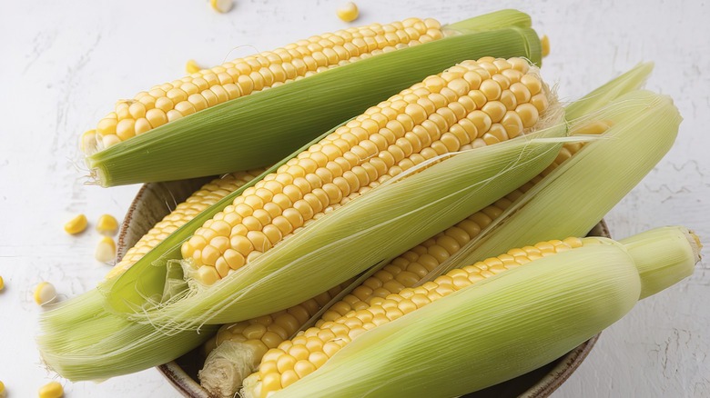 Why Corn Looks So Much Different Than It Used To