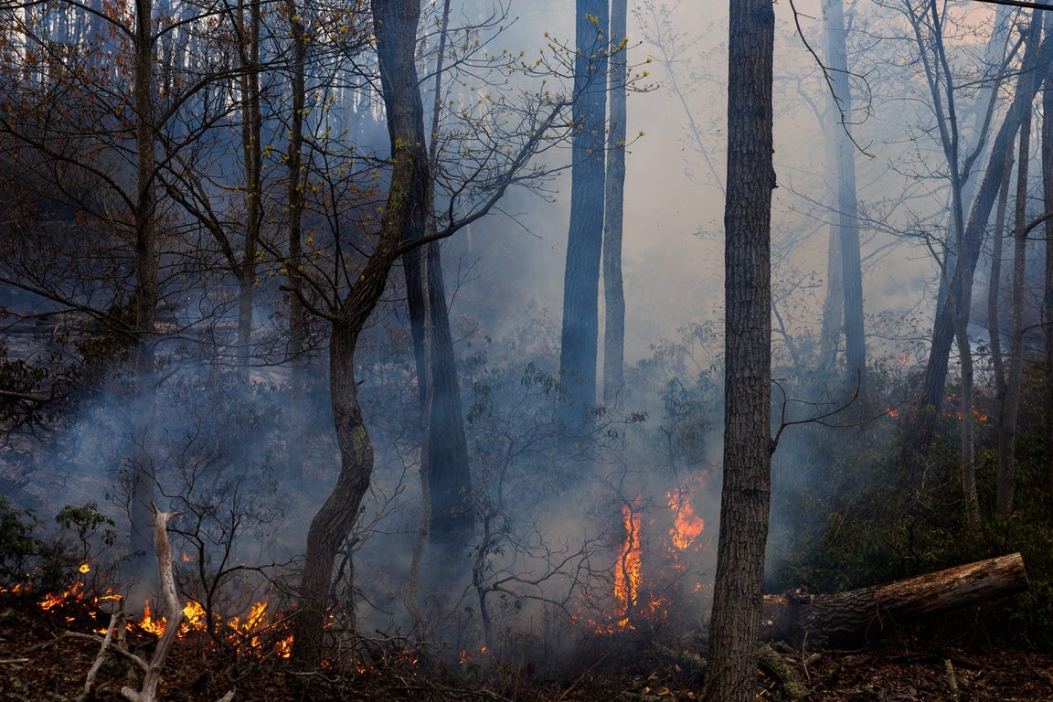 Thompson Hollow fire burns over 1,000 acres in PA